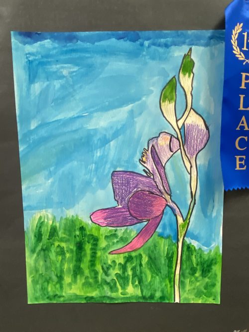 Native Plant Art Exhibition – Native Plant Society of Texas